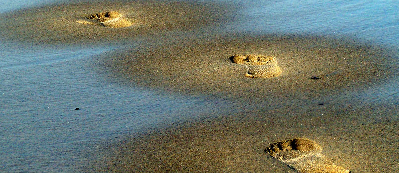 An introduction to water footprinting: part 1 - SimaPro An introduction to water footprinting: part 1 - SimaPro