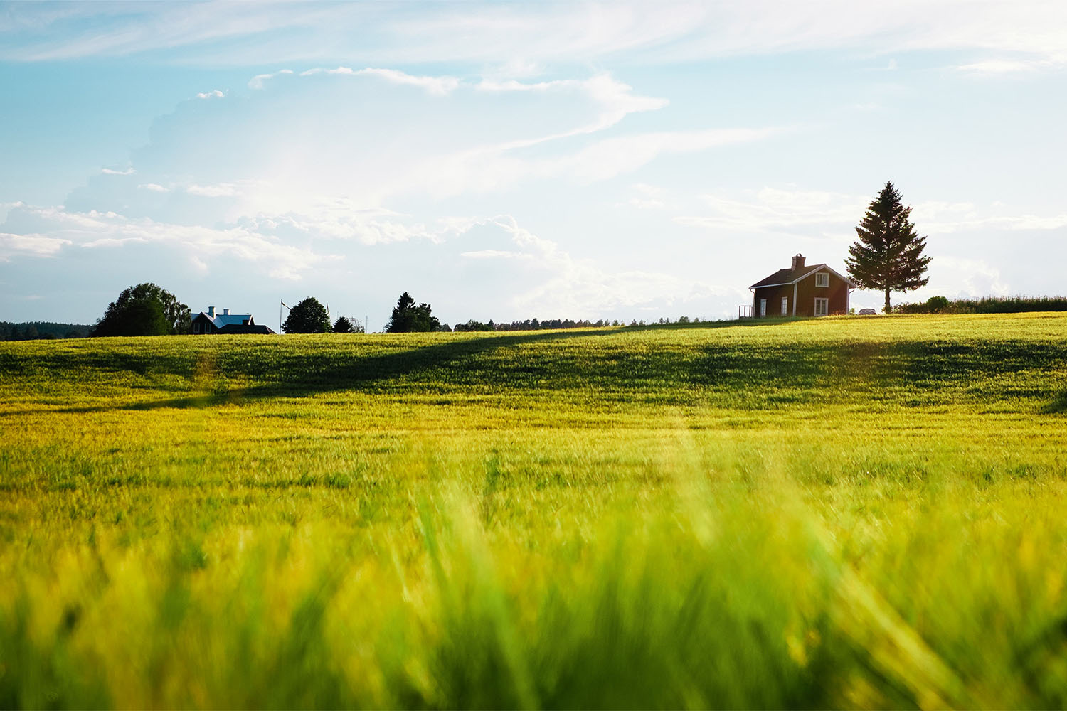 Better Farm Management Through Integrated Sustainability Metrics Simapro