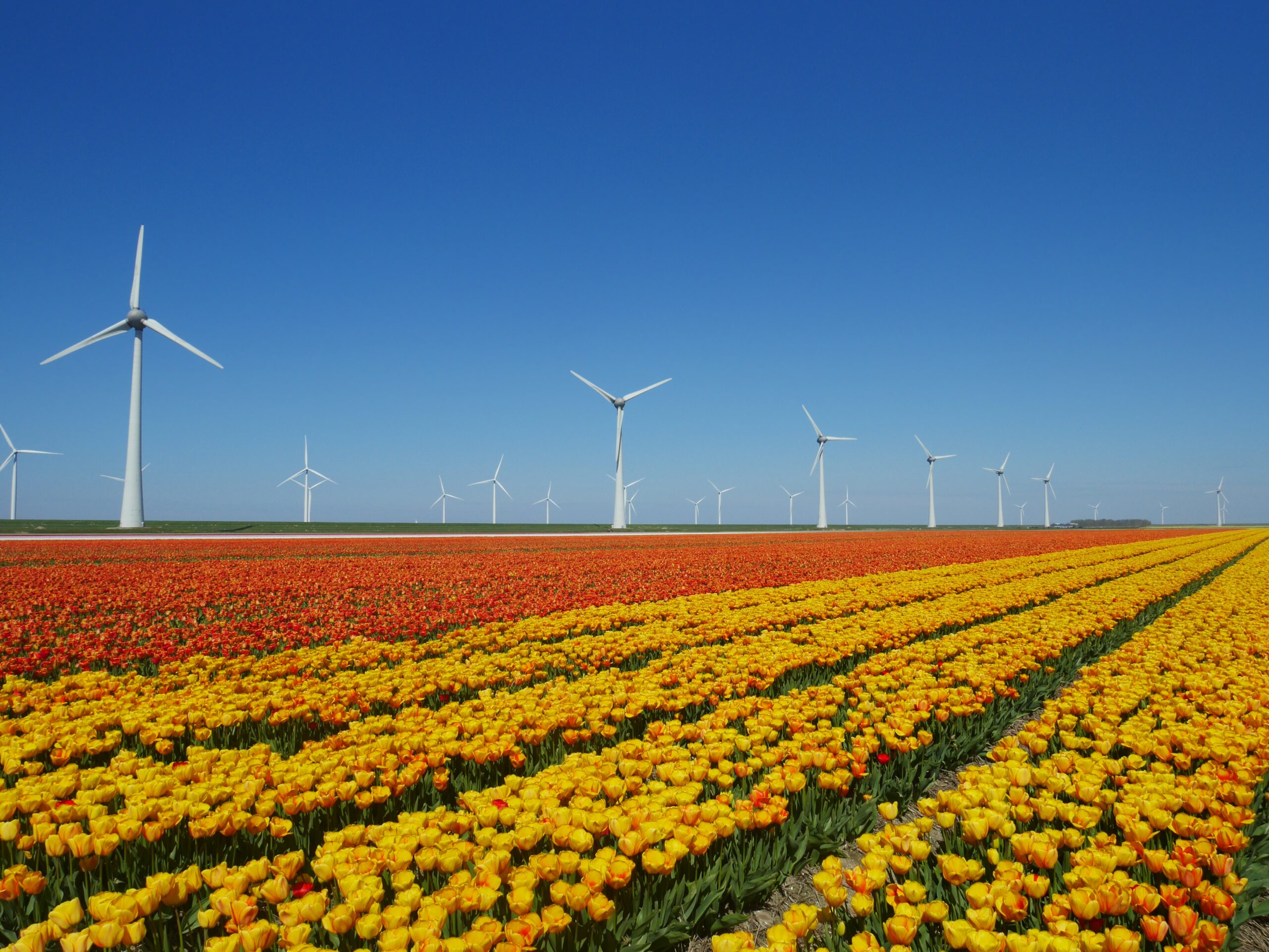 About SimaPro | LCA software & sustainability insights