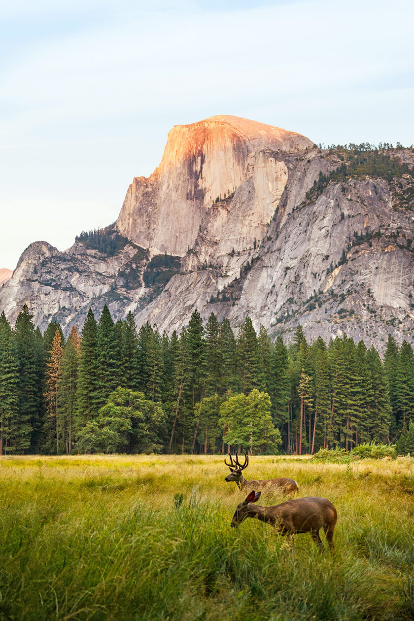 USLCI+ database - SimaPro