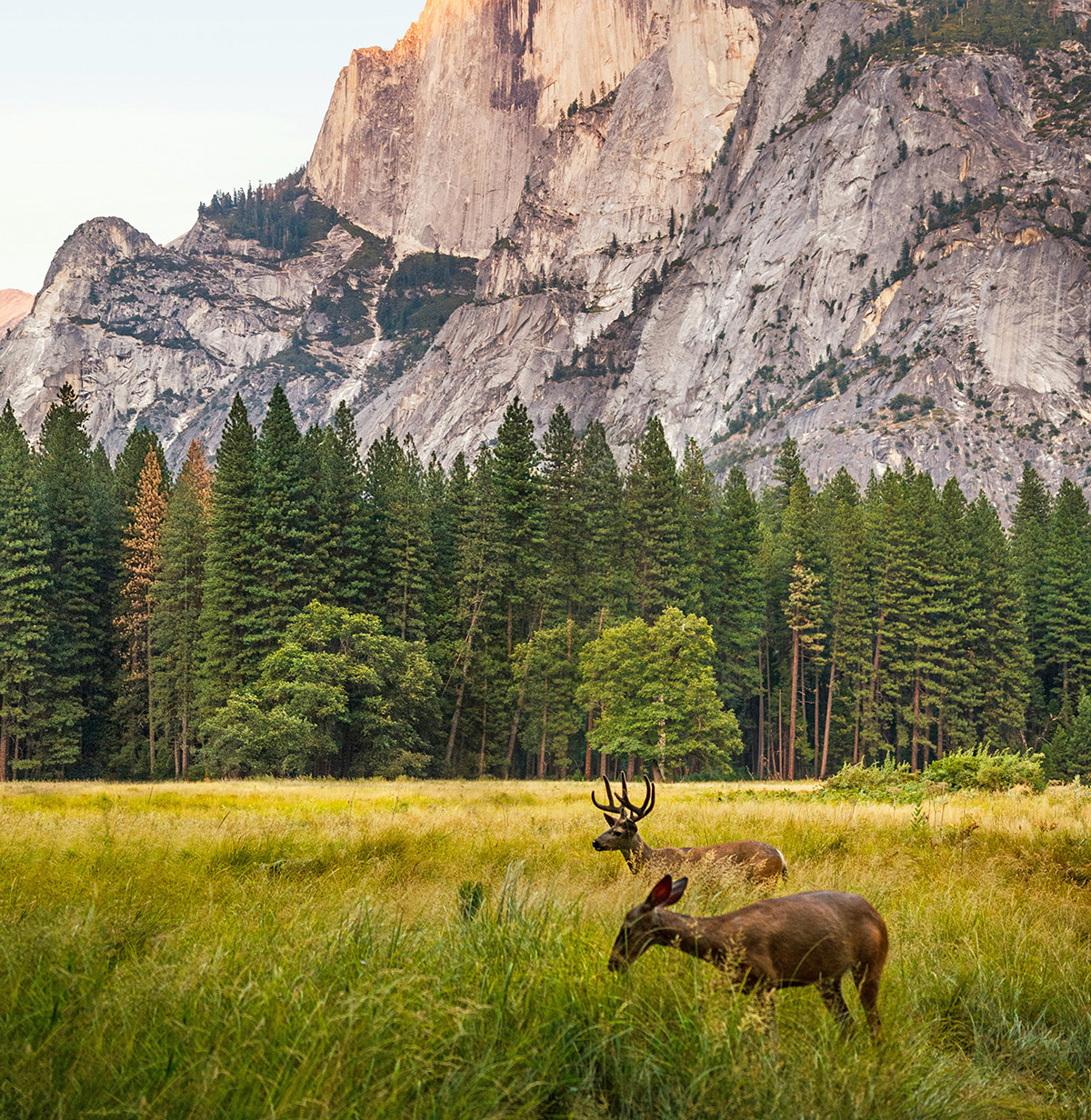 USLCI+ database - SimaPro